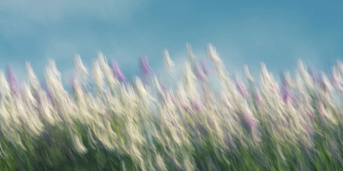 Art With Impact - Discover Stunning Examples– Angela Cameron
