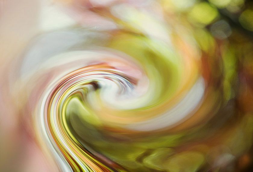 Abstraction In Nature Art– Angela Cameron