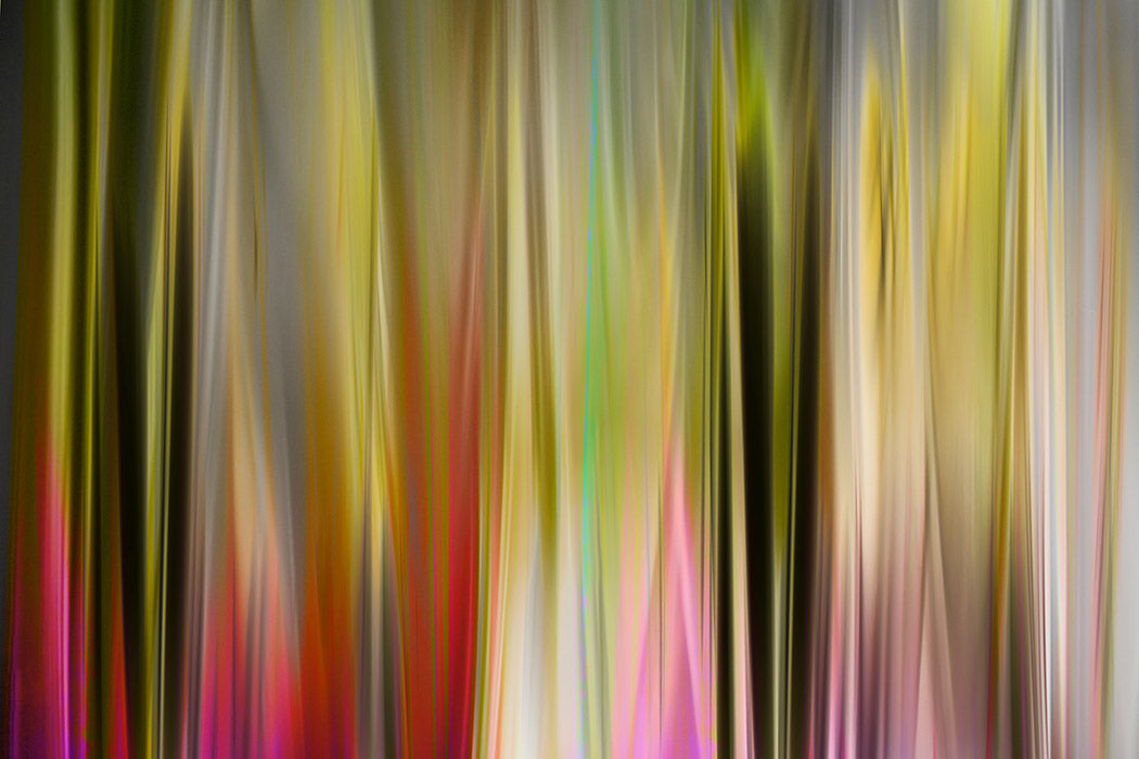 Botanical Grass Artwork– Angela Cameron