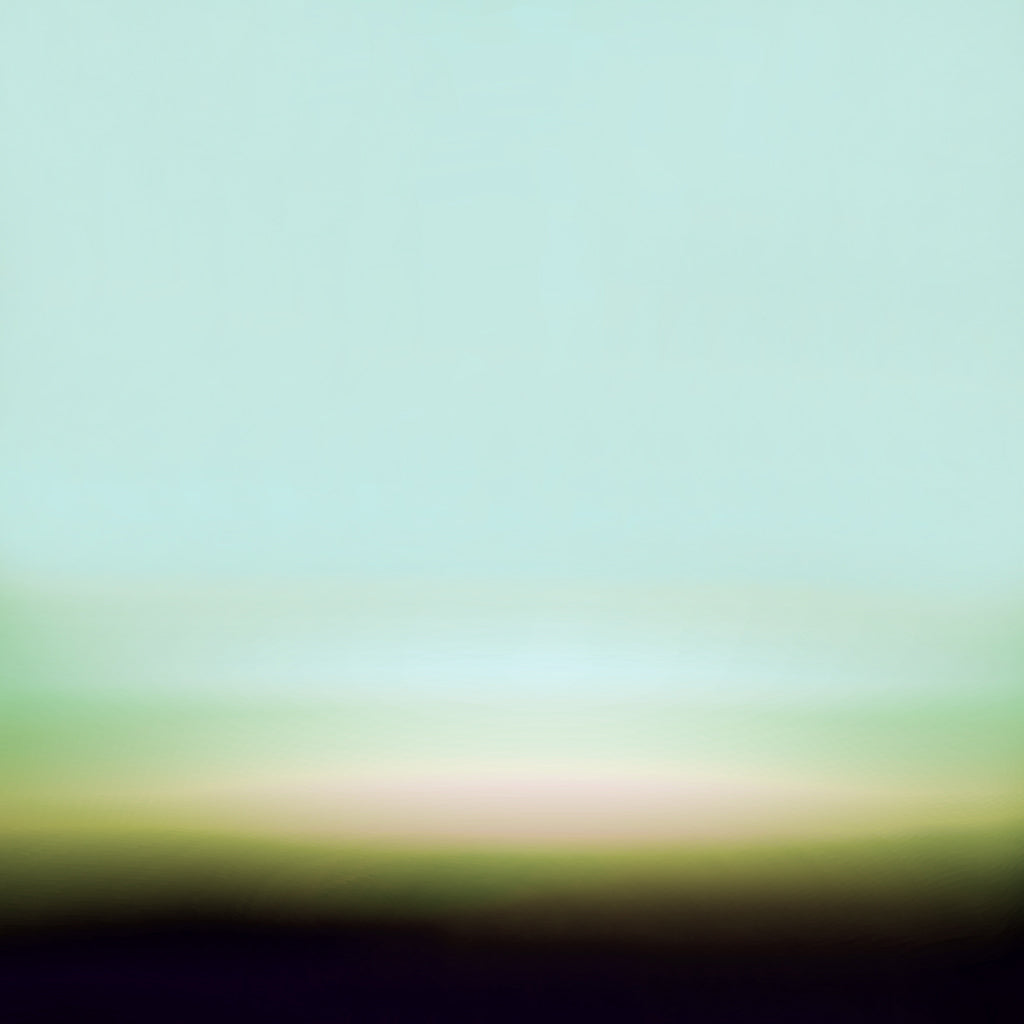 Contemporary Art Series– Angela Cameron