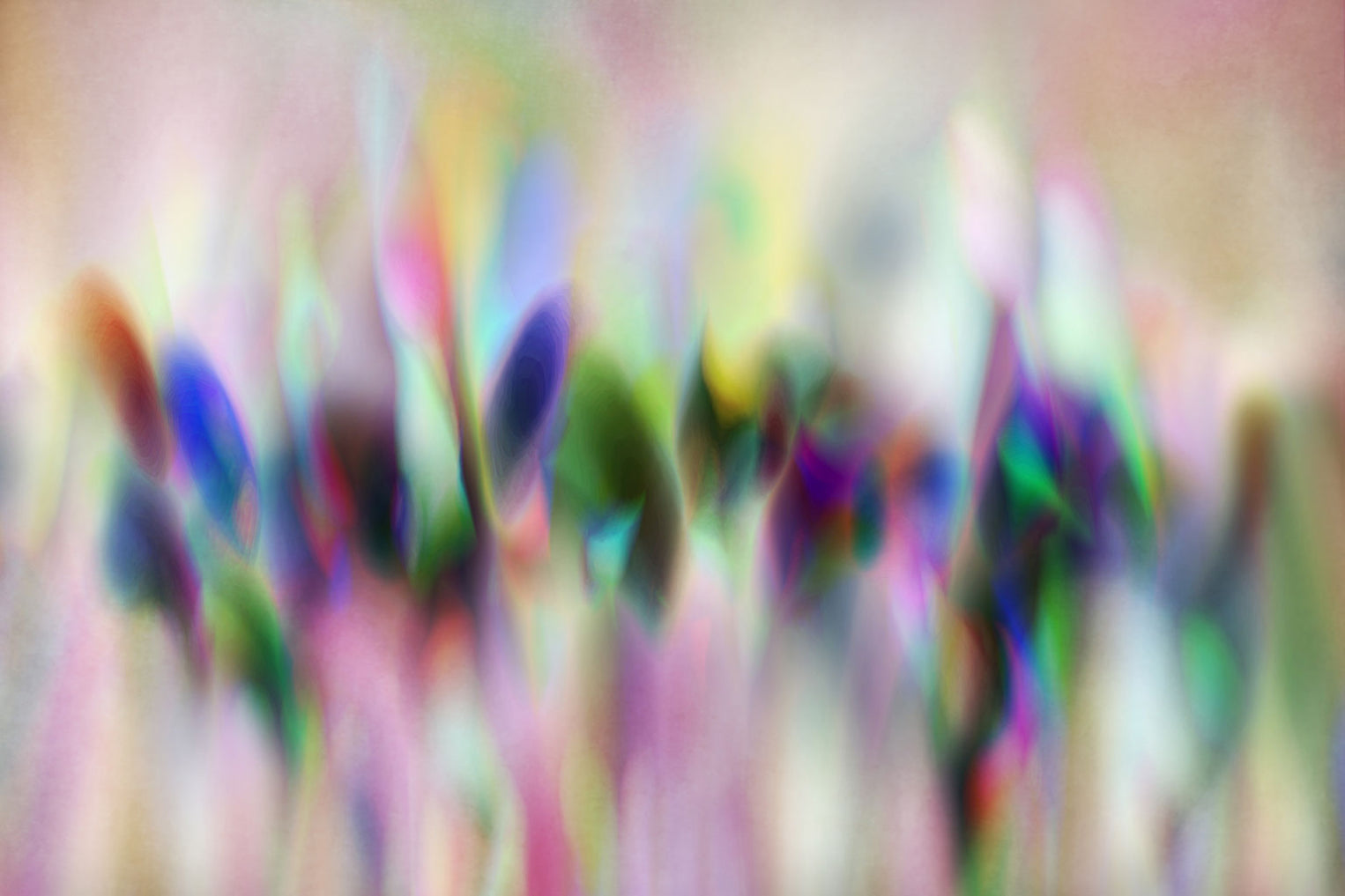 High End Artwork | Garden Artwork– Angela Cameron