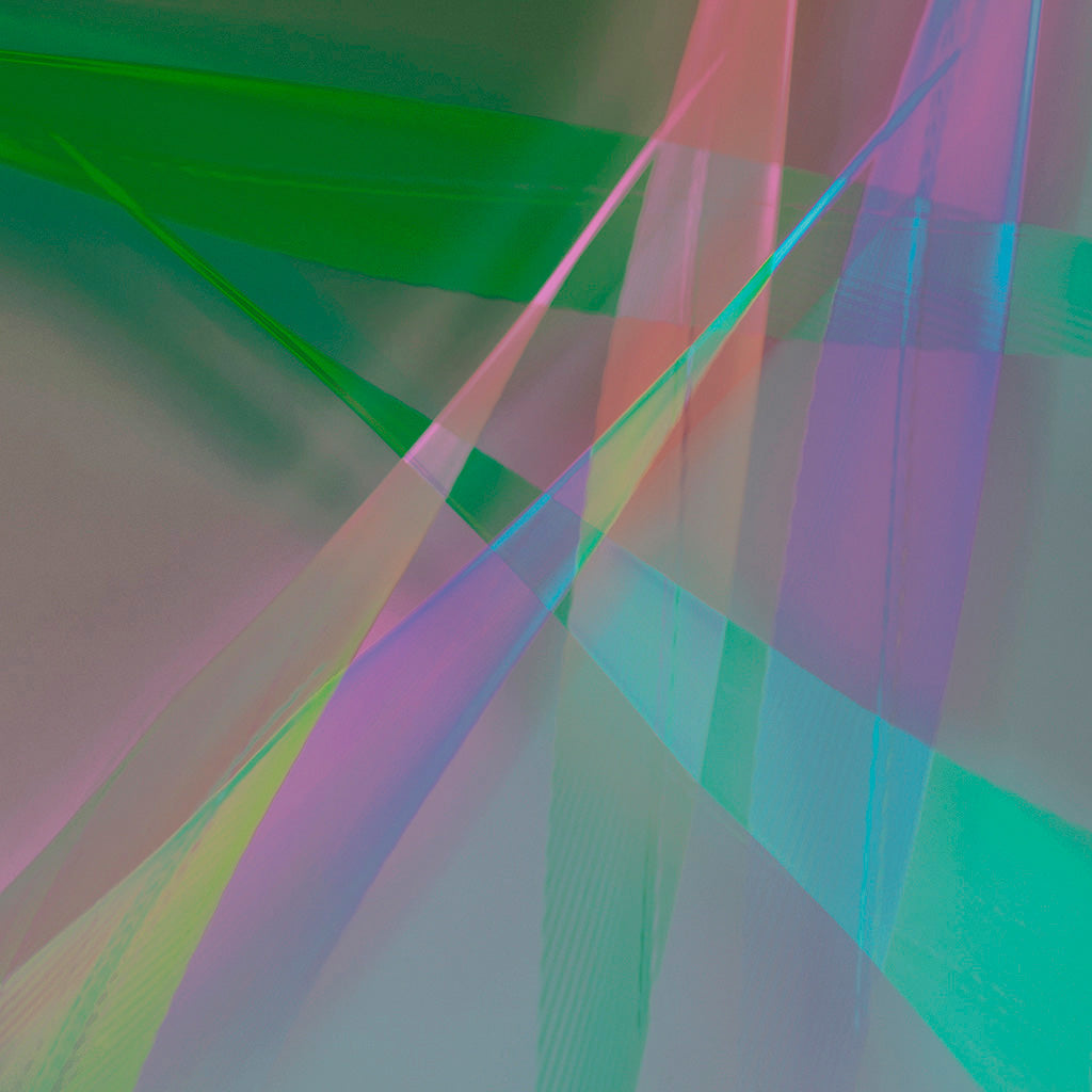 Modern Art Originals | Large Scale Art– Angela Cameron