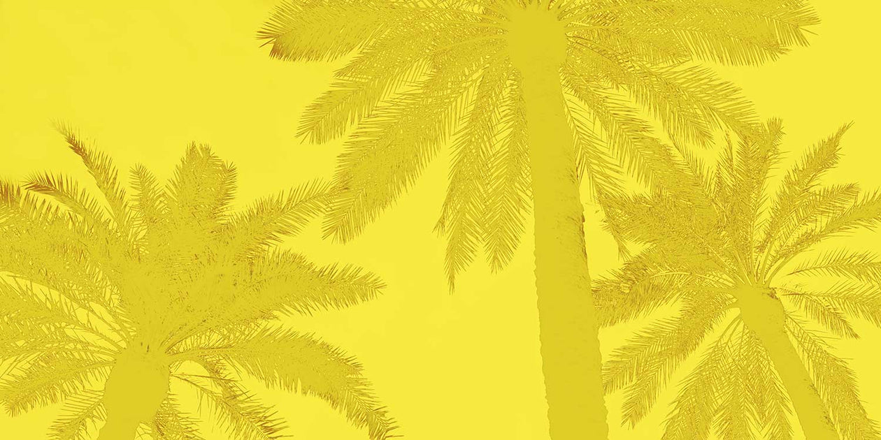 Yellow Palm Tree Art– Angela Cameron