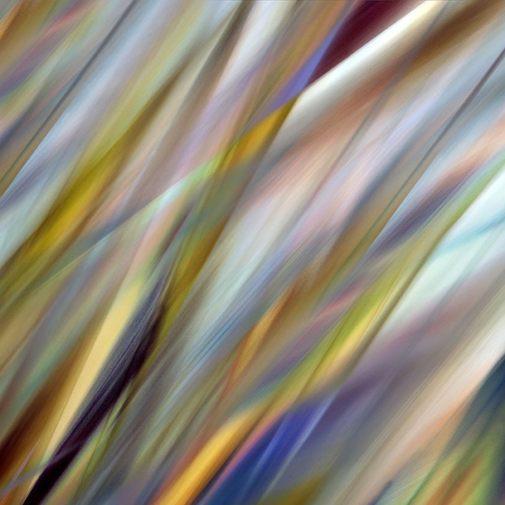 Abstract Nature Art | Artist Artwork– Angela Cameron