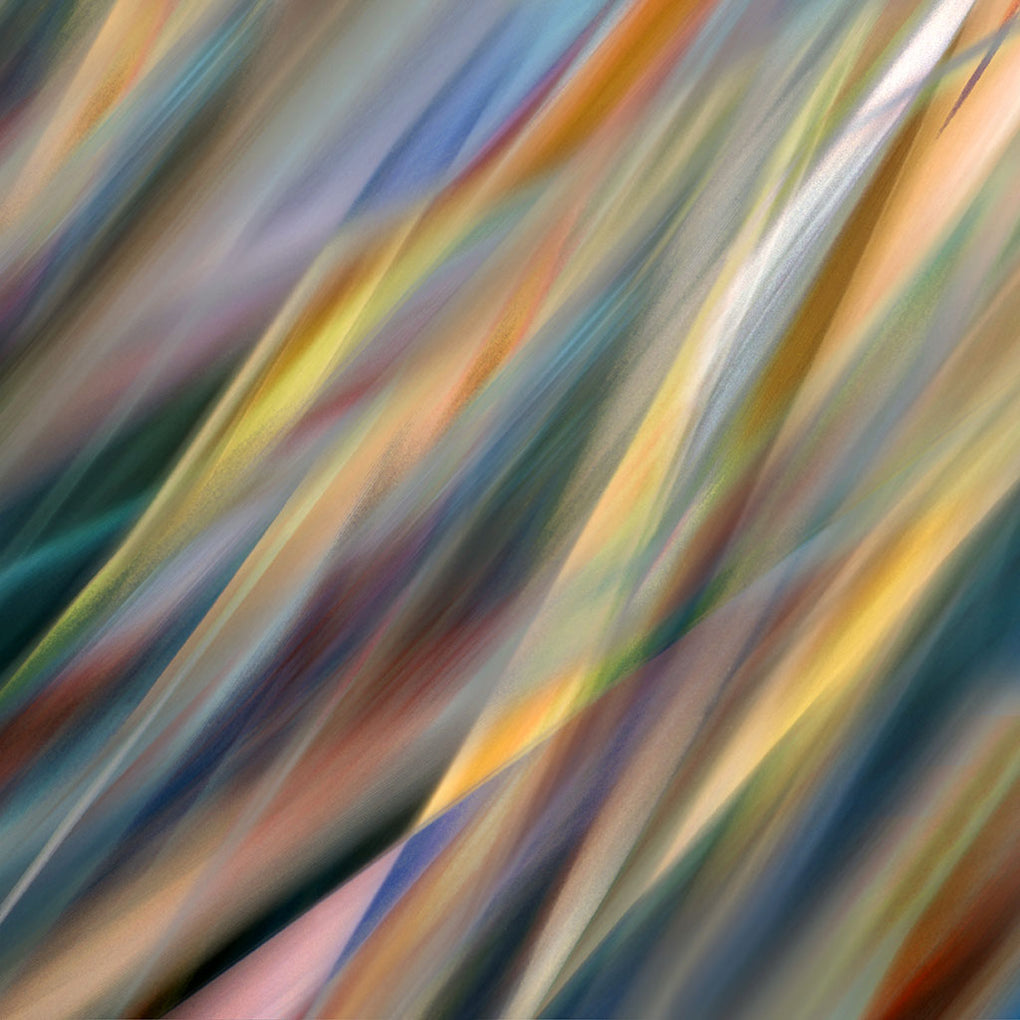 Abstract Nature Art | Artist Artwork– Angela Cameron