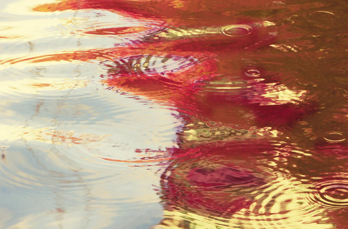 Rain Drops Art– Angela Cameron