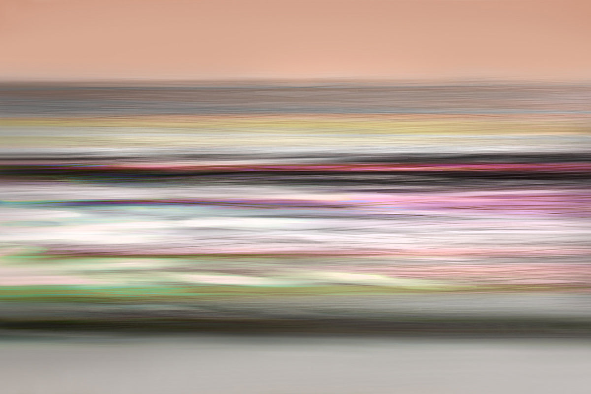 Signed Art Prints | Award Winning Artist– Angela Cameron