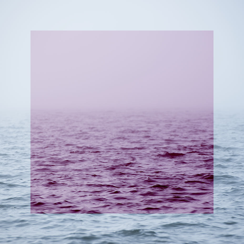 Contemporary Ocean Artwork– Angela Cameron