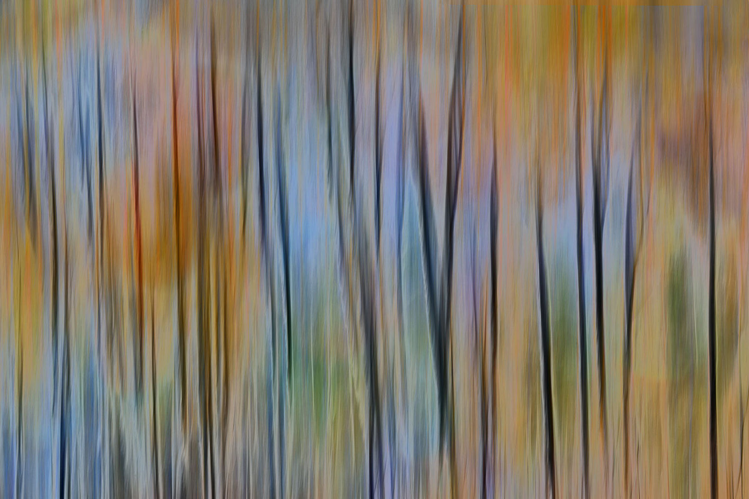 Fine Art Landscape Photography For Sale– Angela Cameron