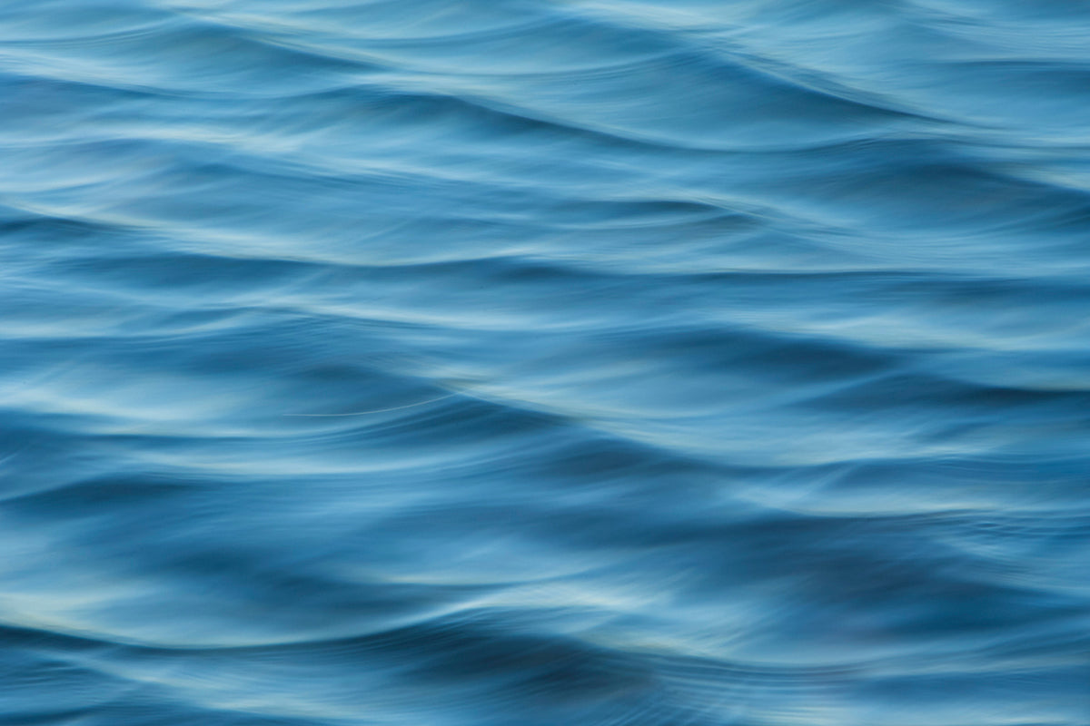 Original Ocean Art | Abstract Artwork– Angela Cameron