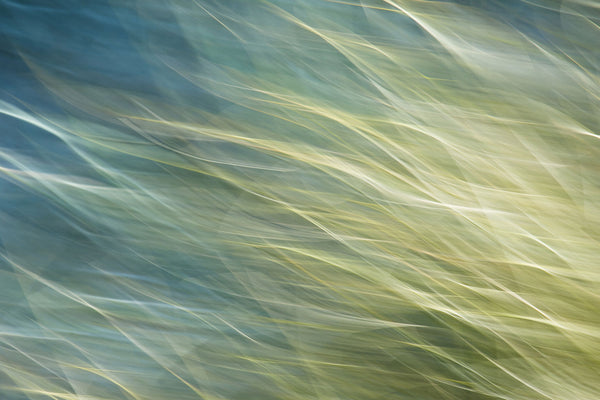 Grass Artwork | Interior Design Artwork - Angela Cameron