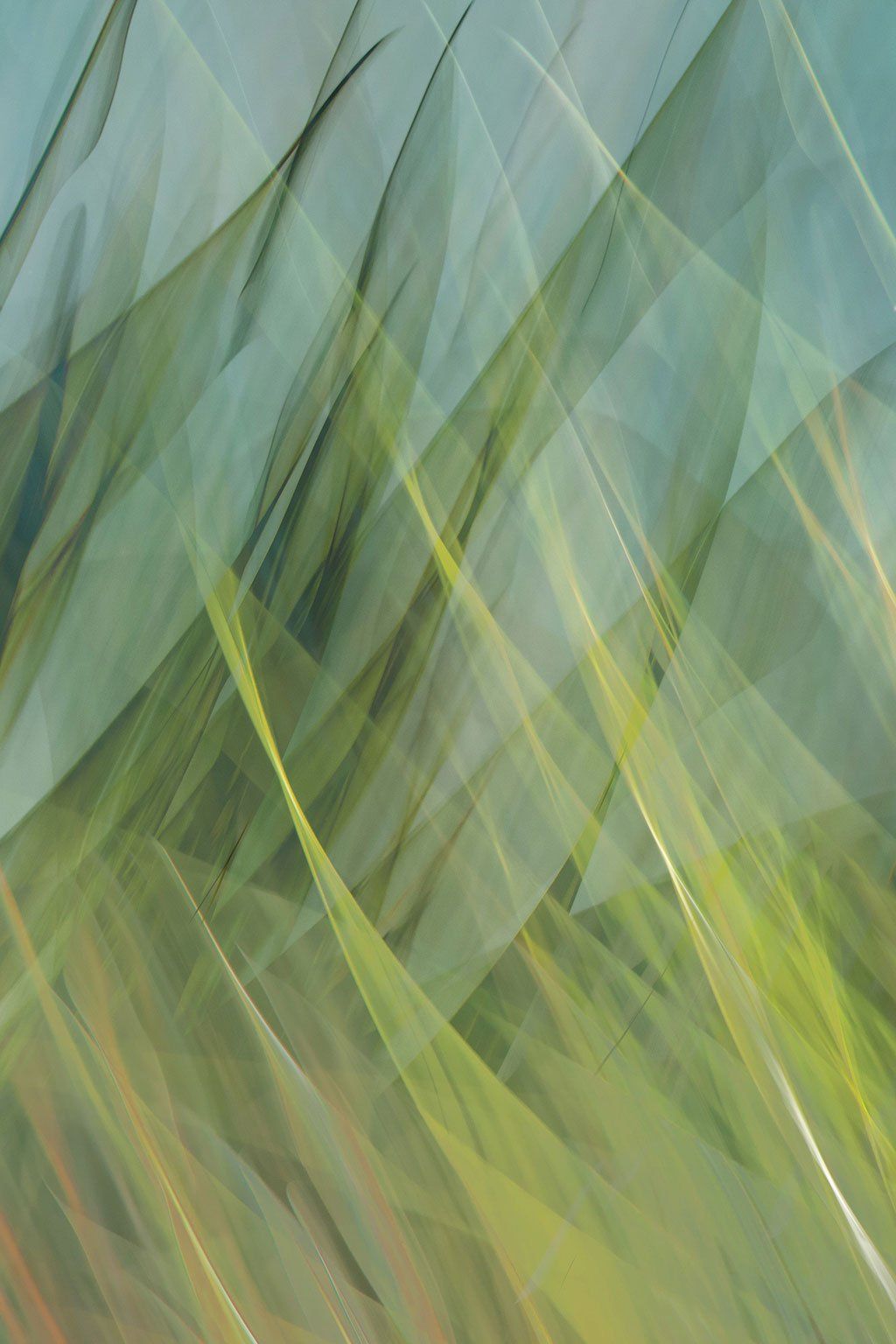 Geometric Nature Art | Abstract Grass Artwork - Angela Cameron
